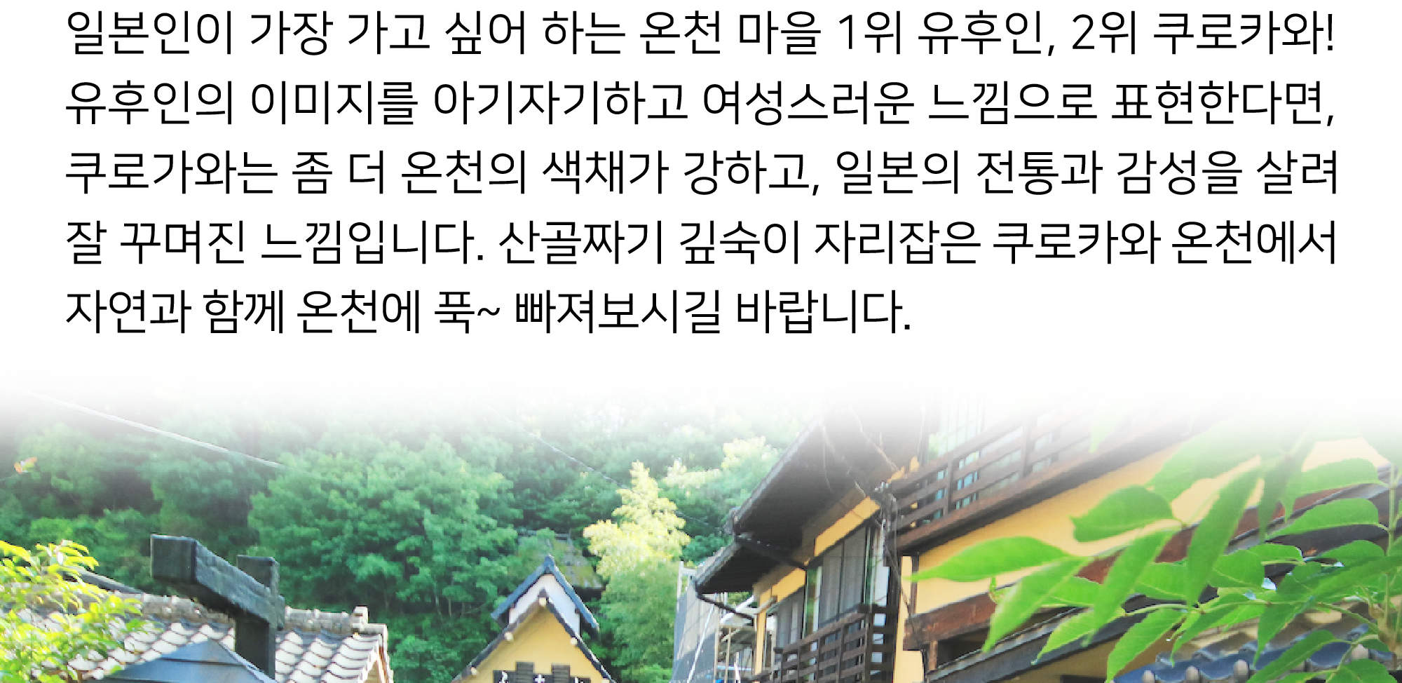 후쿠오카 유후인 And 쿠로가와 일일 버스투어 유투어버스쿠로가와 하차 가능 클룩 Klook 한국